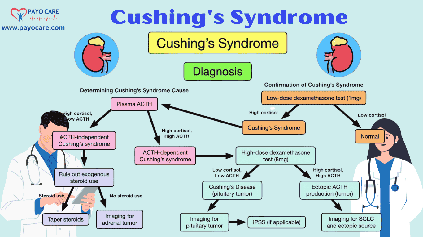 Cushing’s Syndrome: Causes, Symptoms and Treatments - Payo Care